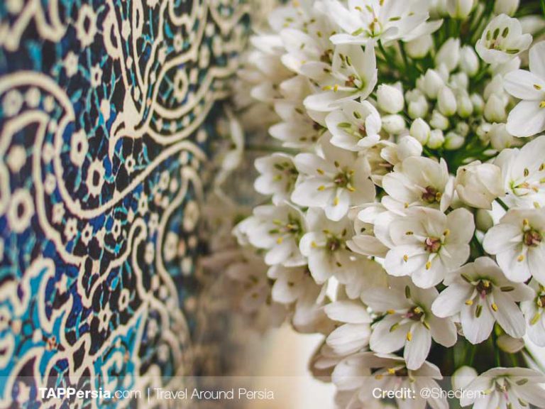 Iran Flowers Culture | Explore Iran | TAP Persia