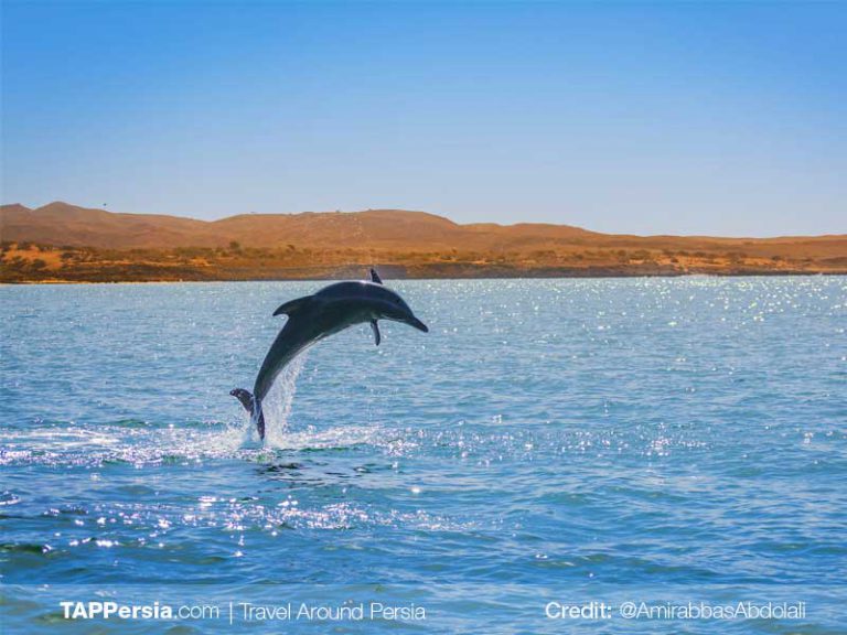 Hengam, Island | Qeshm Nature | TAP Persia