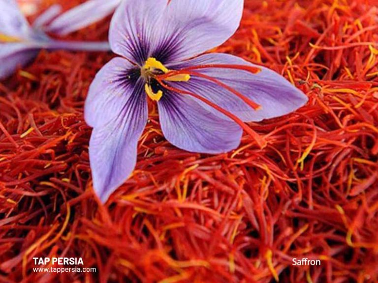 Iran Flowers Culture | Explore Iran | TAP Persia