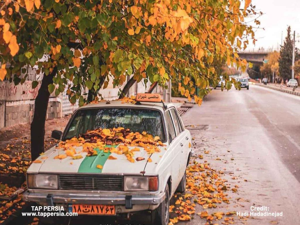 The Rich Tapestry of Iranian Culture: Fall Festivals and Traditions ...
