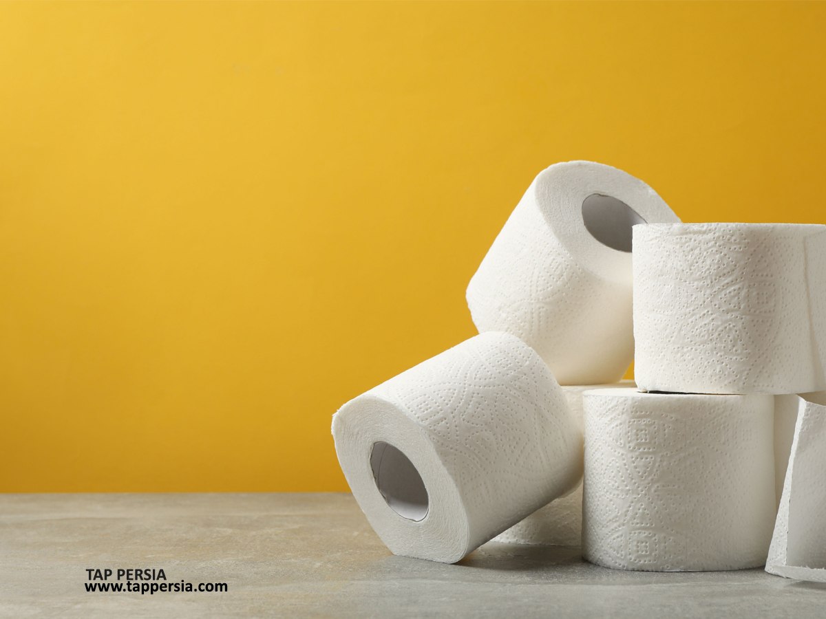 Iranian Toilets | Iran travel Tips | TAP Persia