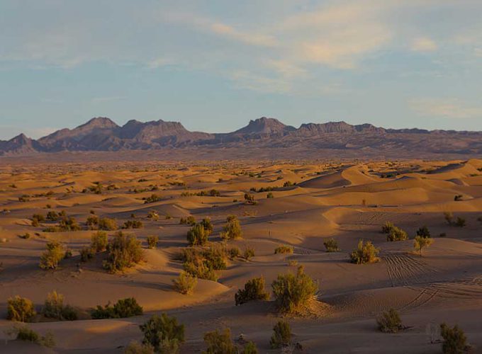 Yazd Tours | Experience the beauty of Yazd by TAP Persia