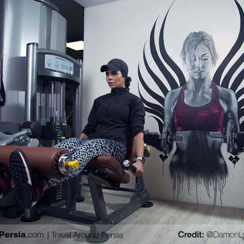 Exercise-in-Iran-TAP-Persia1 | TAPPersia