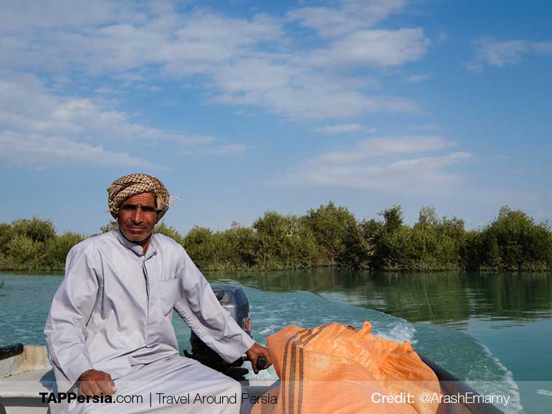 Harra Sea Forest | Qeshm Nature | TAP Persia