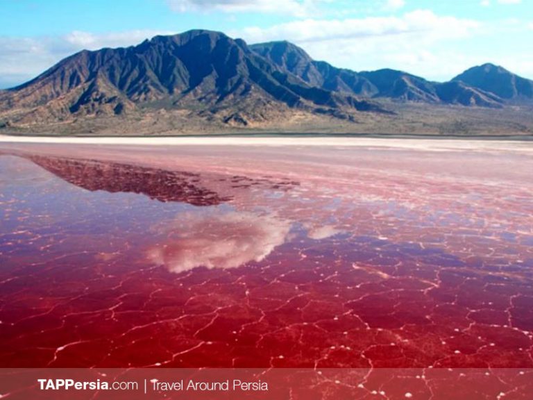 Shiraz, Iran | Explore This ancient city of Love and Literature