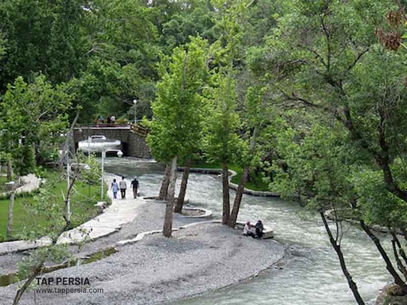 Mashhad Tours | TAPPersia